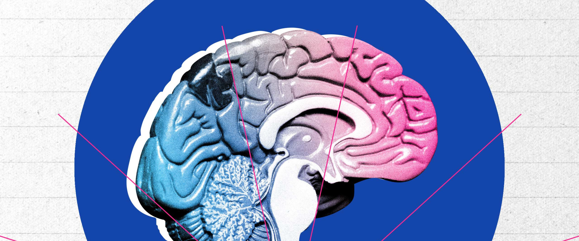Understanding Neurodivergence What Does It Mean To Be Neurodivergent